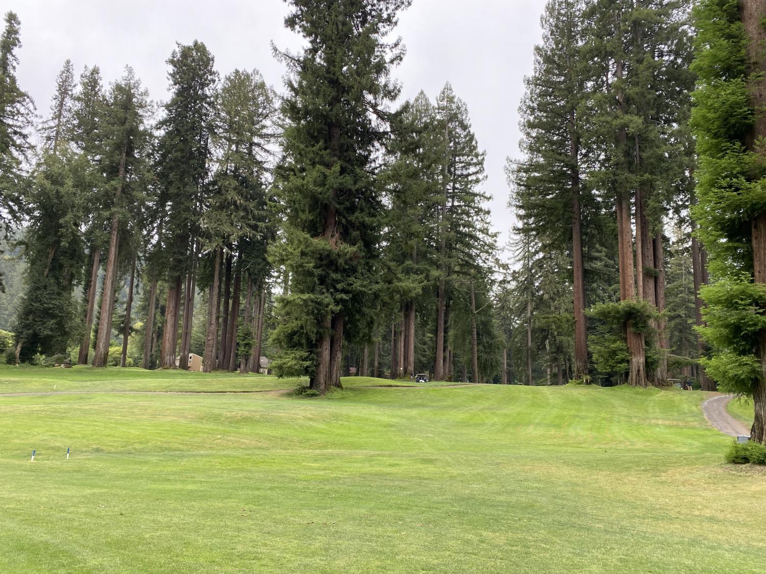 Northwood Golf Club: an intimidating nine through the redwoods ...