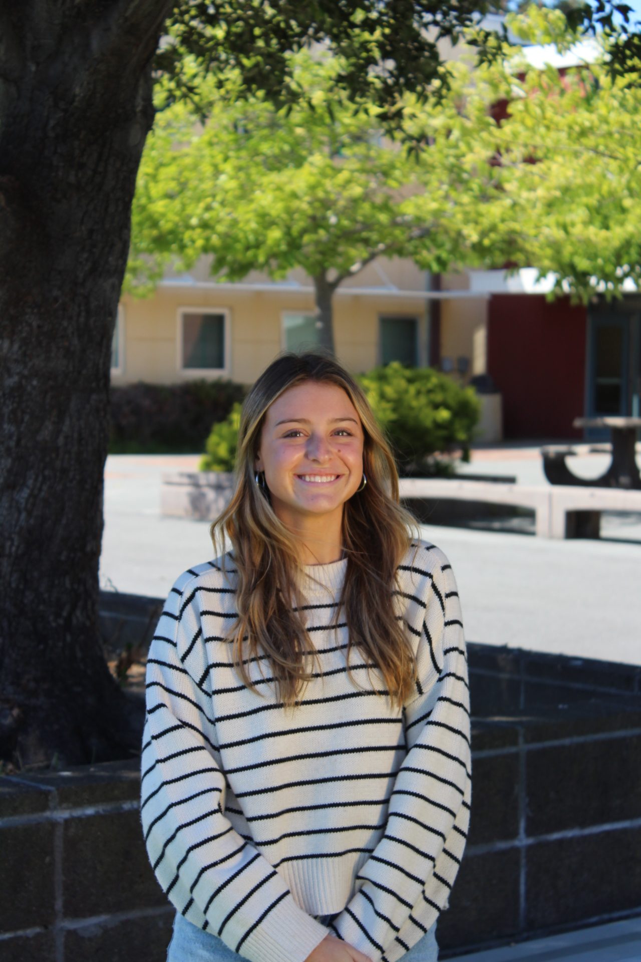 Lily Skinner – Redwood Bark